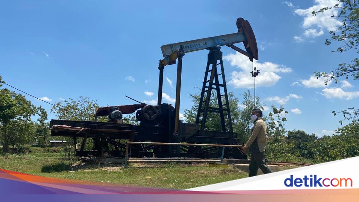 Foto: Desa di Blora yang Disebut Texas-nya Indonesia
