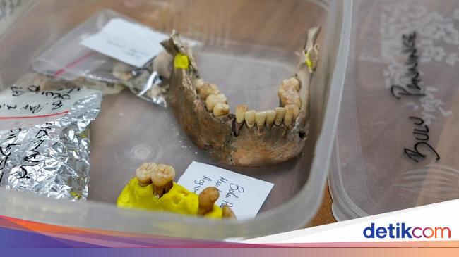 Fosil Wanita 70 Abad Ditemukan, Peneliti Ungkap Fakta Terbaru Sejarah ...