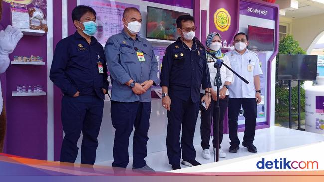 Pertama di Dunia, Indonesia Bikin Serum Tangkal Flu Babi