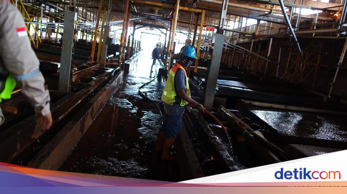 Perminas Bakal Garap Proyek Logam Tanah Jarang di Mamuju