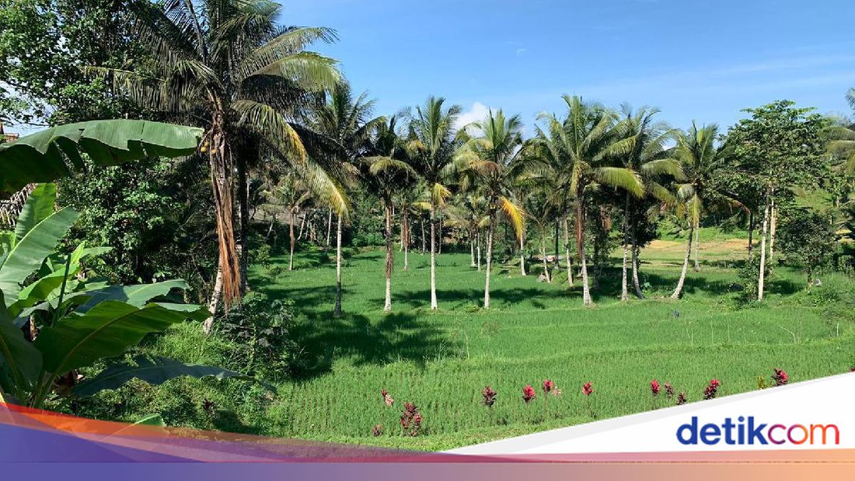 Juri Desa Wisata Terbaik Dunia Turun Gunung, Begini Kesiapan Desa Tetebatu
