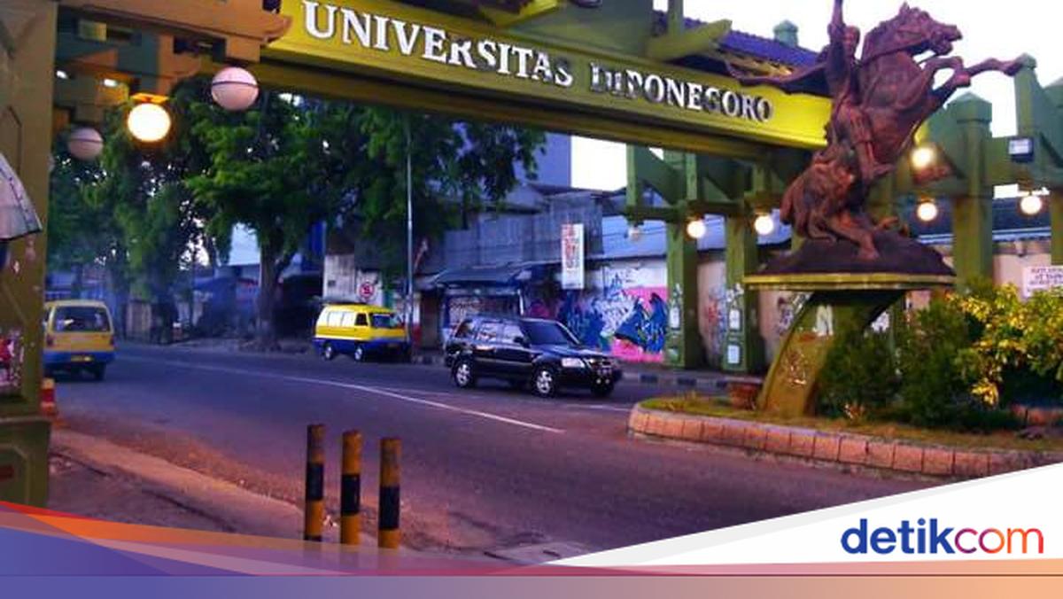 Jurusan Undip dengan Keketatan Rendah, Peluang Masuk Besar!