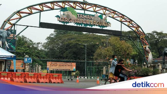 Syarat Masuk Ragunan Oktober 2021, Buka Lagi 23 Oktober!