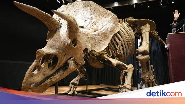 Mengenal Fosil Dinosaurus: Proses Penemuan, Tempat, dan Pengerjaannya