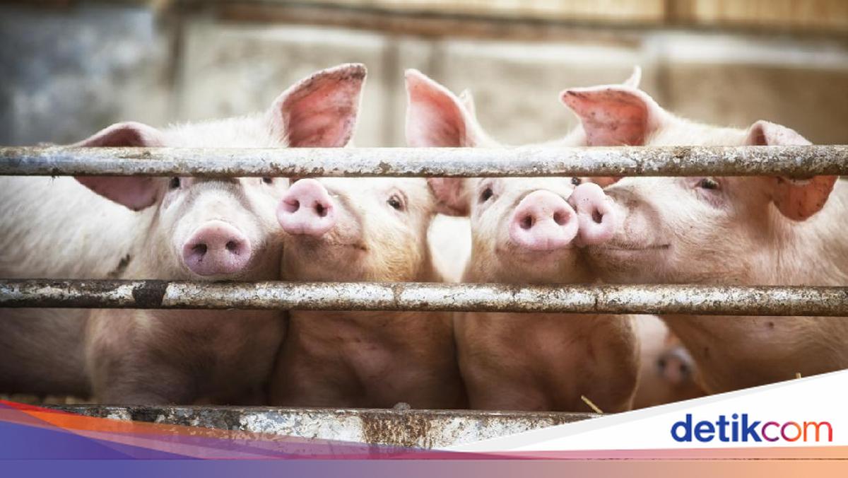 Macam-macam Najis dalam Islam: Pengertian, Contoh, dan Cara Menyucikannya