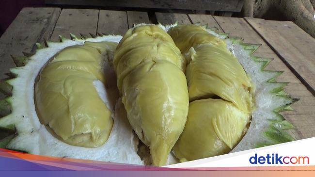 Legit Creamy Durian Mentega dari Lereng Gunung Semeru yang Bikin Nagih