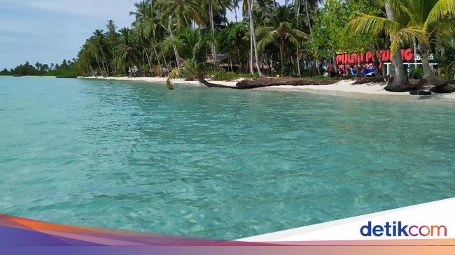 Dispar Duga Ada yang Framing Jelekkan Aceh Singkil soal Viral Anjing Mati