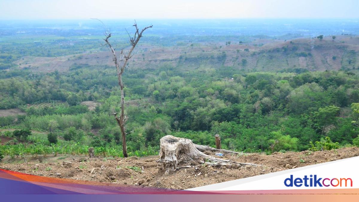 Apa Itu Erosi? Berikut Pengertian, Proses, Faktor, hingga Dampaknya