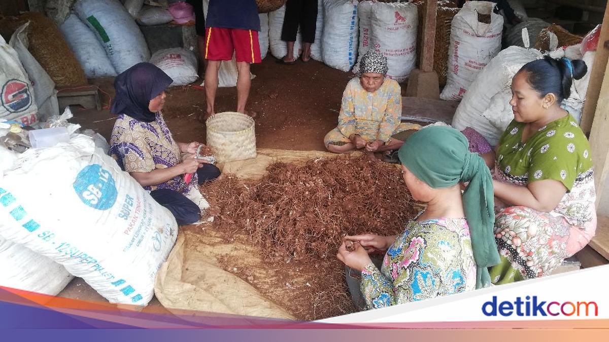 Perlu Tahu! Ternyata Desa di Sumedang Ini Penghasil Rempah