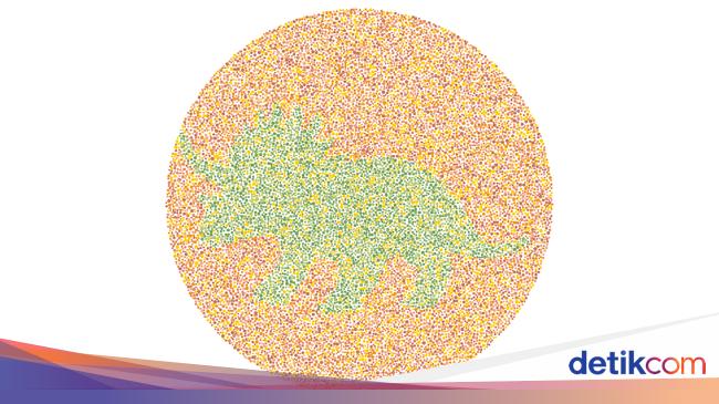 Uji Penglihatan, Cek Apakah Kamu Buta Warna dengan Menebak Gambar Ini ...