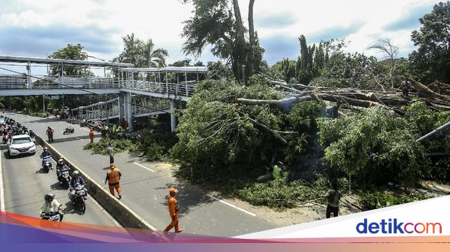 Brak! Dua Pohon di Jaktim Tumbang dan Timpa JPO-Tiang Listrik