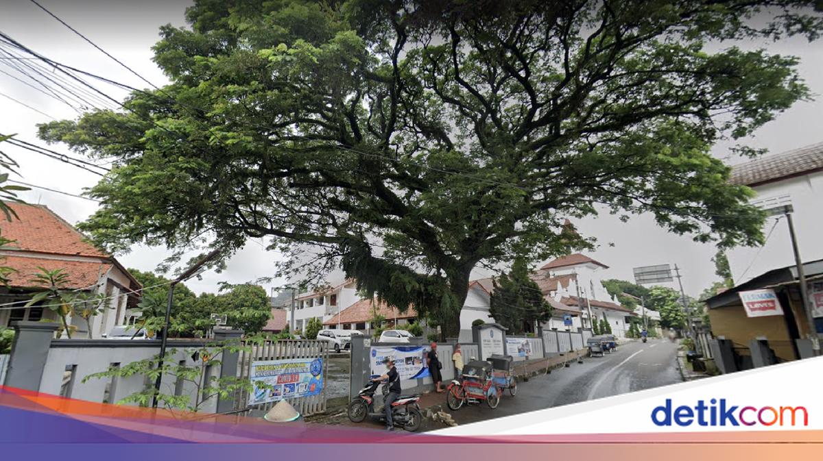 Warga Depok! Belanda Mau Bikin Wisata Sejarah Nih