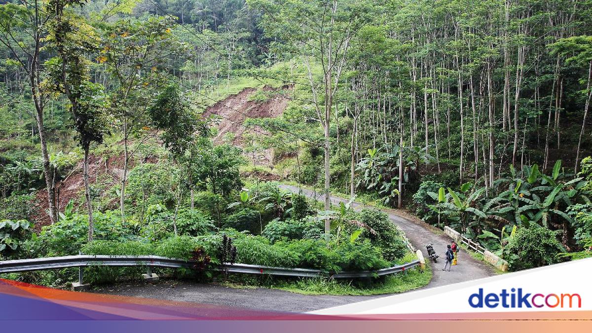Tinitah Alam Kulon Progo, Tempat Healing Suasana Sejuk Dekat Bukit Menoreh