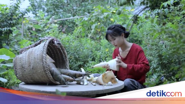 YouTuber China Li Ziqi Comeback, Videonya Langsung Ditonton Jutaan Kali