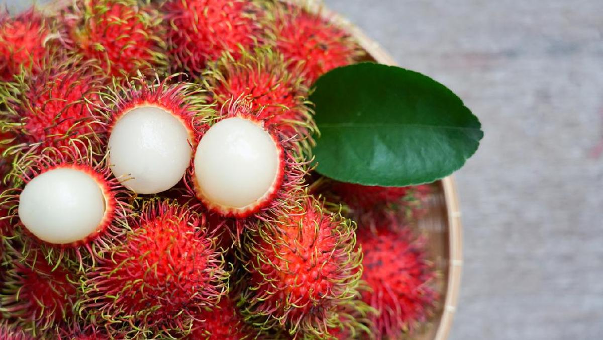Ternyata Ini Manfaat Rambutan Bagi Kesehatan, Nggak Kaleng-kaleng ...