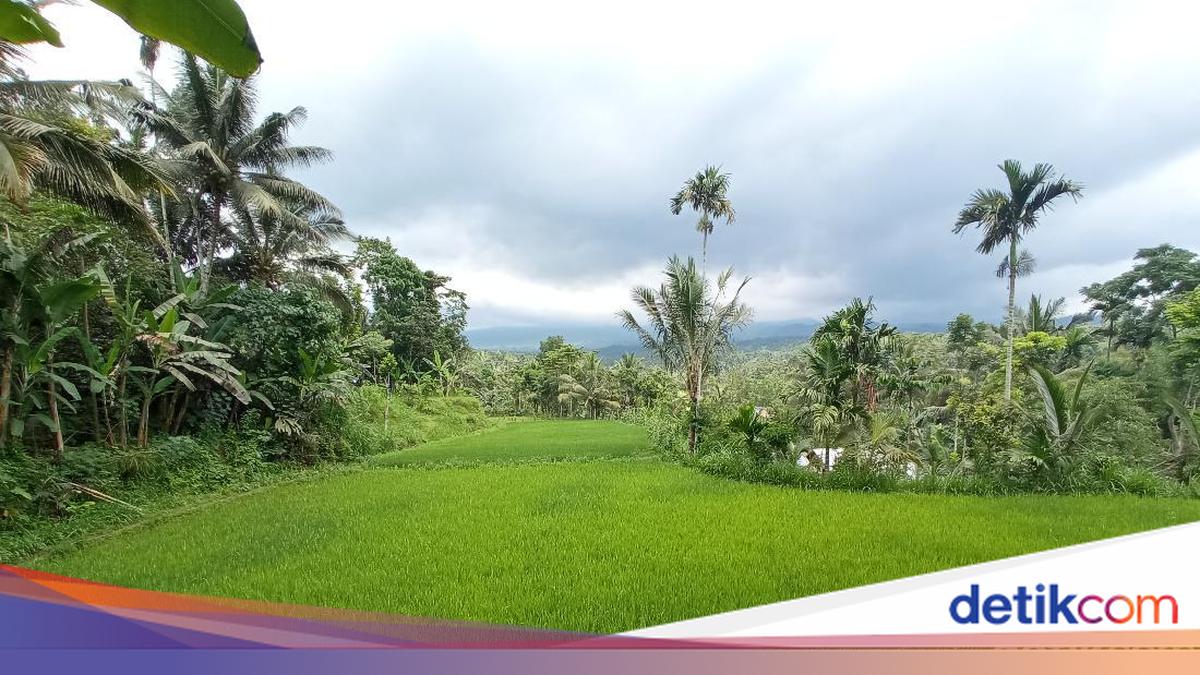 Tetebatu, Desa Wisata Terindah Dunia dari Lombok!