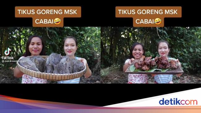 Ekstrem! TikToker Vietnam Ini Masak Tikus Goreng Cabai