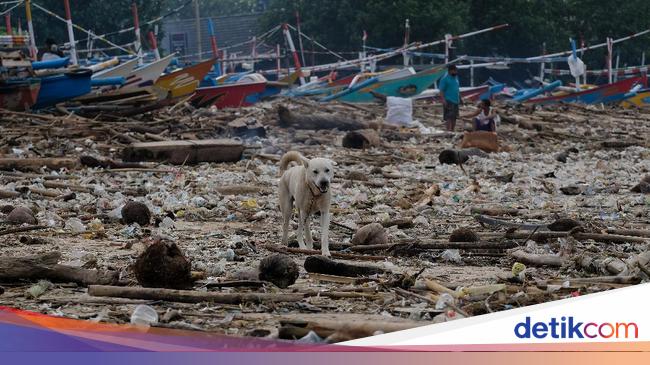 Cuaca Ekstrem di Bali Bikin Pantai Kedonganan Penuh Sampah