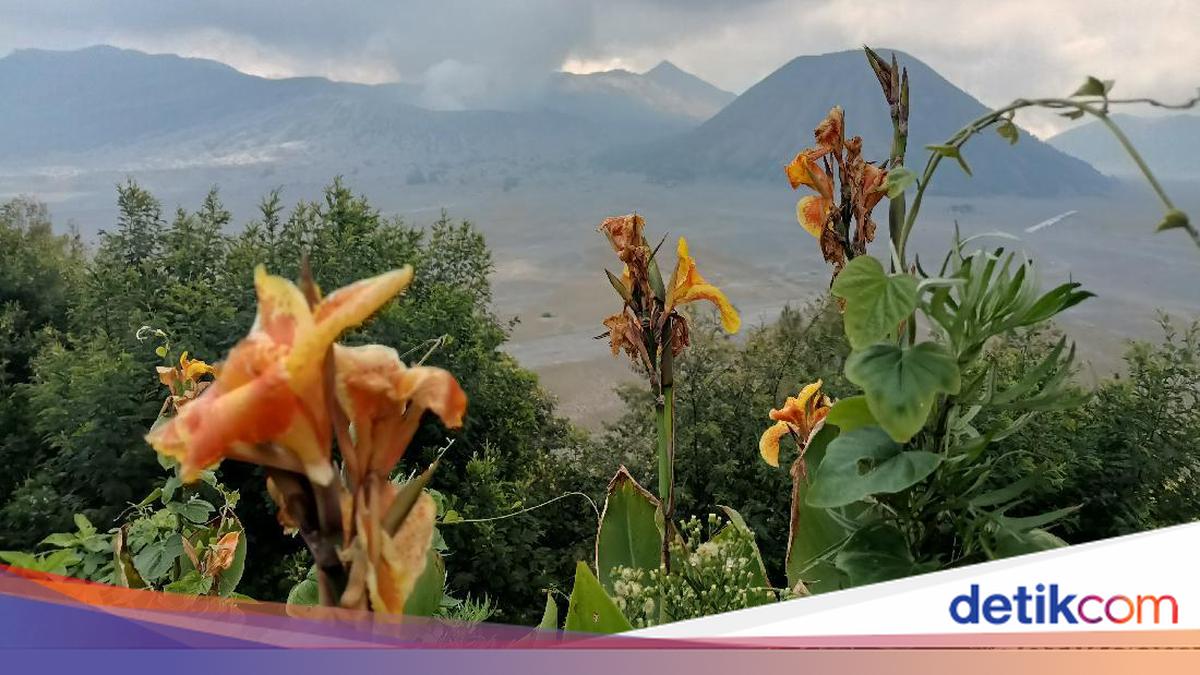 Tema Perayaan Hari Gunung Internasional 11 Desember 2023