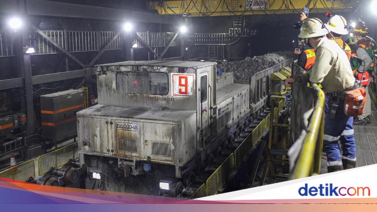 Terkuak Alasan Kontrak Freeport Perlu Diperpanjang hingga 2061