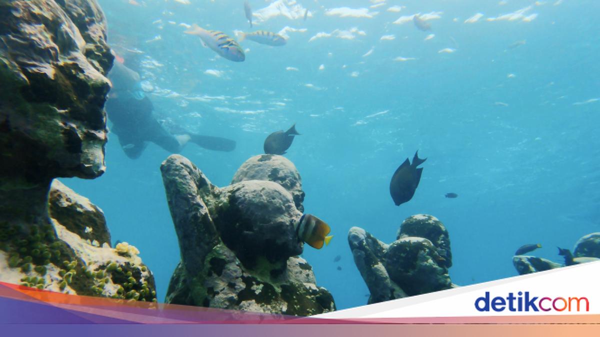 7 Spot Snorkeling Terbaik di Lombok, dari Gili Trawangan hingga Pantai Pink