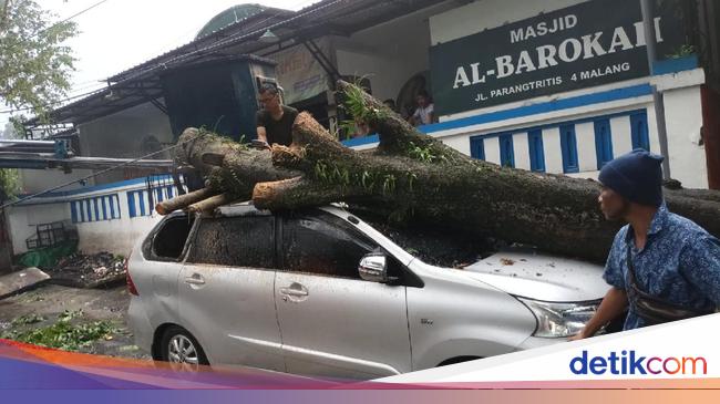 Hujan Es Disertai Angin Kencang Kota Malang Tumbangkan Pohon di 9 Titik