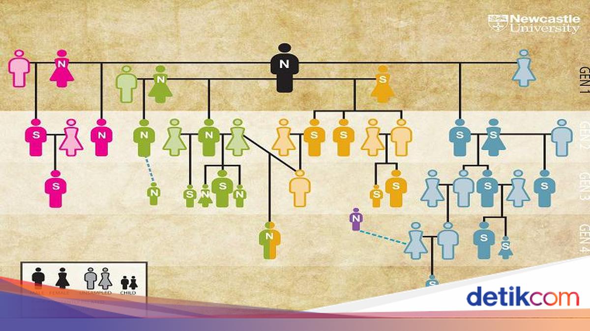 Apa Itu DNA? Ini Struktur, Fungsi, dan Perbedaannya dengan RNA