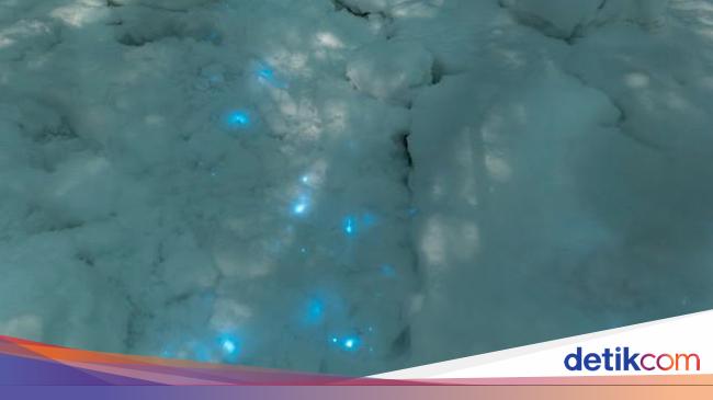 Misteri Padang Salju Mendadak Bercahaya Biru