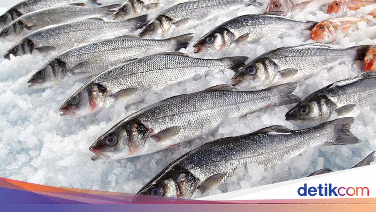 Kenapa Bangkai Ikan Halal Meskipun Sudah Mati?