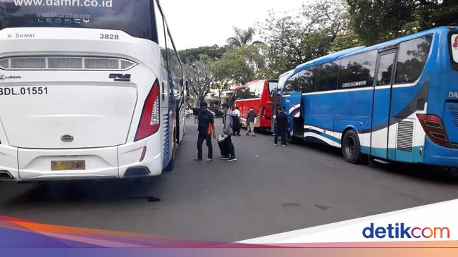 Bus AKAP Pemerintah Kini Miliki 4 Kelas, Tahu?