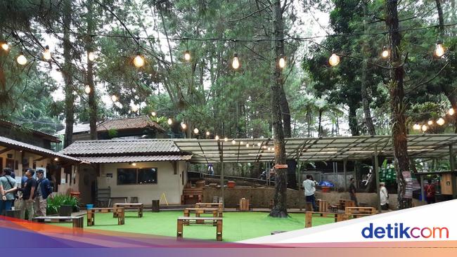 Kopi Daong Bogor, Nikmati Secangkir Kopi di Tengah Rimbunnya Pepohonan