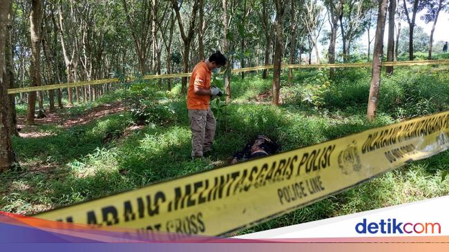 Mayat Pria di Kebun Karet Bandung Barat Diduga Korban Pembunuhan