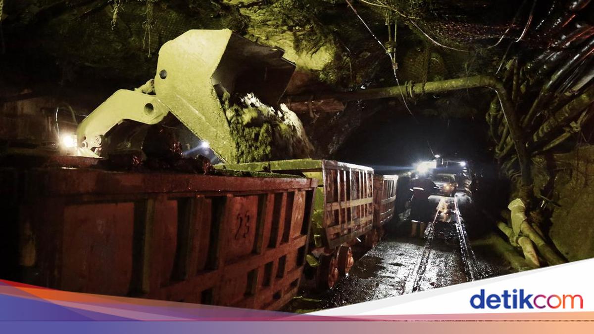 ESDM Usut Insiden di Tambang Emas Pongkor: Human Error atau Ada Hal Lain