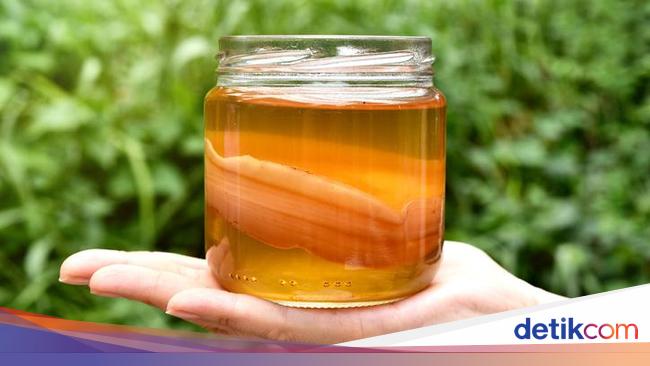 Teh Kombucha Hasil Fermentasi Jamur, Apakah Halal Dikonsumsi Muslim?