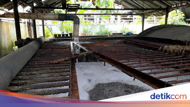Mengenal Biomassa Adalah: Jenis, Manfaat, dan Contoh Penggunaan