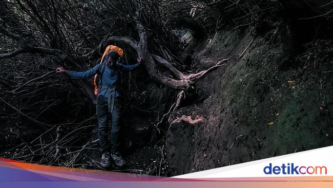 7 Mitos Seram Gunung Kerinci, Dijaga oleh Manusia Harimau?