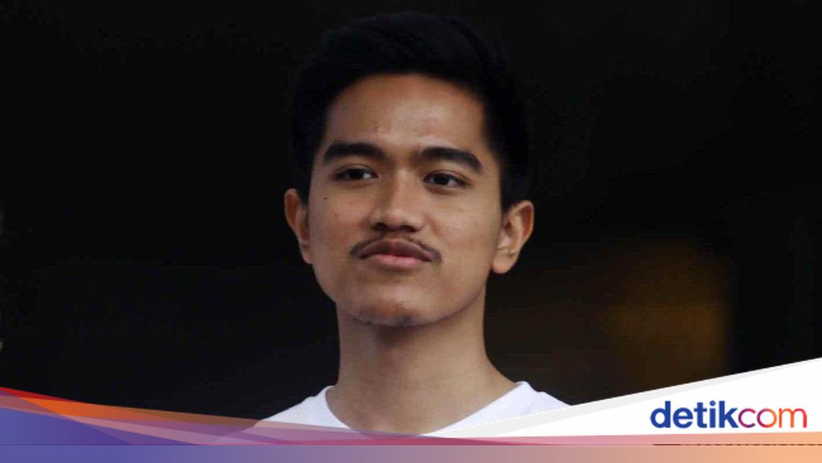 Snack di Garuda Viral Bergambar Kaesang, Ini Penjelasan Garuda-Pemasok