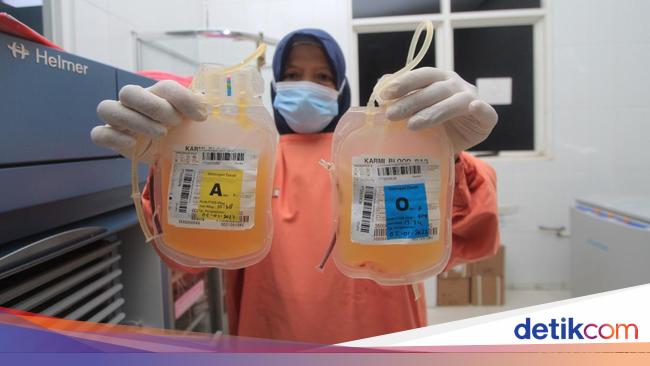 Apa Itu Trombosit? Ini Pengertian dan Fungsinya bagi Tubuh Manusia