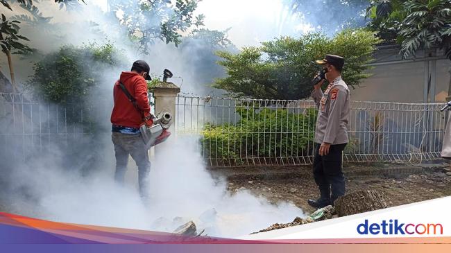 Waspada, Kasus DBD di Kota Bandung Mulai Meningkat Waspada, Kasus DBD di Kota Bandung Mulai Meningkat