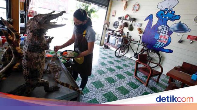 Daging Buaya Mendadak Laris Manis di Thailand, Ada Apa?