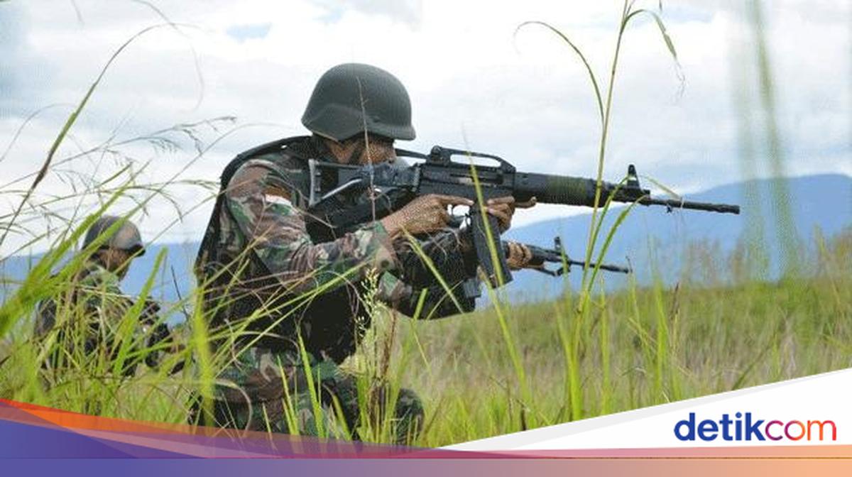 Alasan TNI Kini Gunakan Istilah OPM di Papua