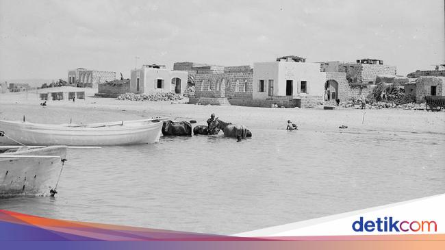 Film Dokumenter Ungkap Pembantaian Warga Palestina oleh Israel Film Dokumenter Ungkap Pembantaian Warga Palestina oleh Israel