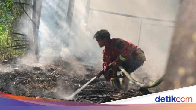Kandang Ayam di Blitar Ludes Terbakar, Pemilik Rugi Rp 400 Juta