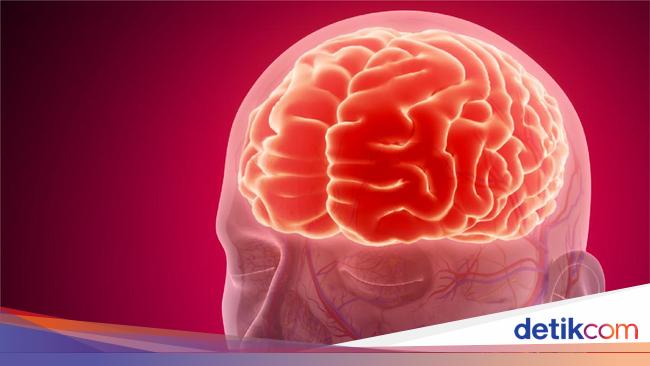 Bagaimana Jika Otak Kekurangan Pasokan Oksigen? Ini yang Bakal Terjadi