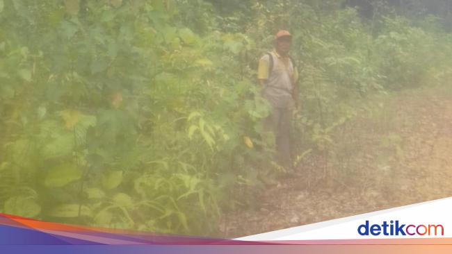 Sosok Penjaga Hutan Adat Dayak di Sudut Kalimantan