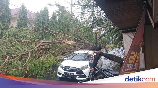Pohon Tumbang Saat Hujan Angin di Surabaya Timpa Mobil