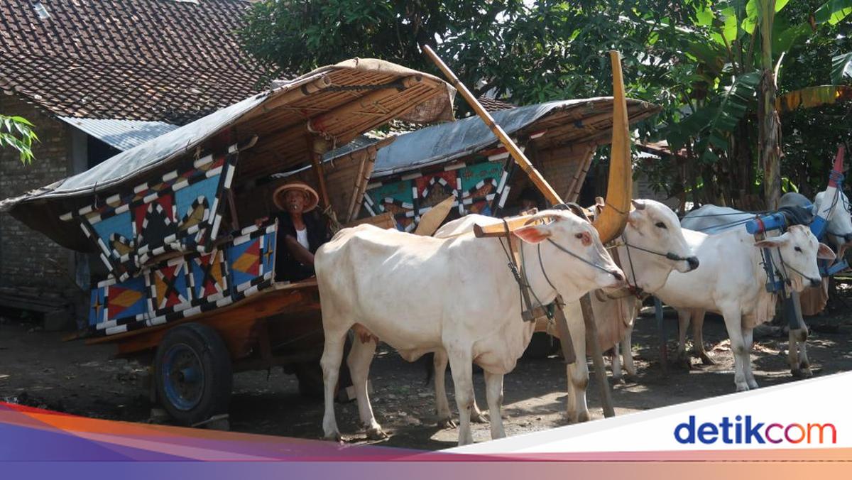 Mengenal Bajingan di Jogja, Profesi Legendaris yang Penuh Filosofi