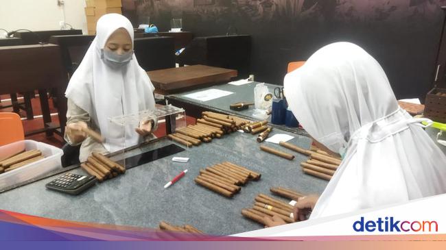 Ini Dia Cerutu Made In Jember yang Mendunia