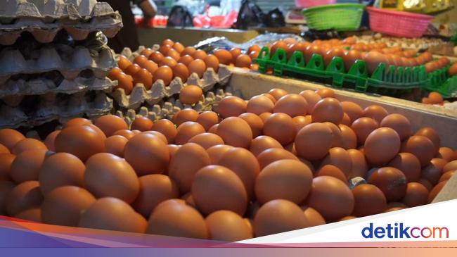 Jelang Nataru, Pemprov DKI Pastikan Stok Pangan Aman Jelang Nataru, Pemprov DKI Pastikan Stok Pangan Aman