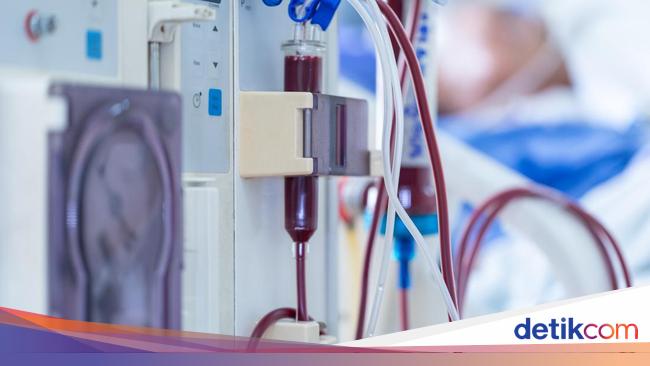 Anggota Komisi IX Soroti Anak Kelas 5 SD Cuci Darah, Sebut Efek Minuman ...